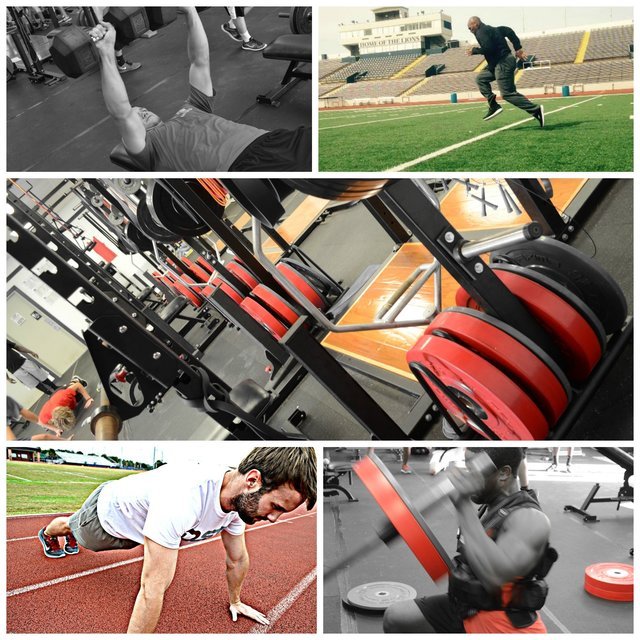 REMOTE TRAINING - Dynamic Sports Training